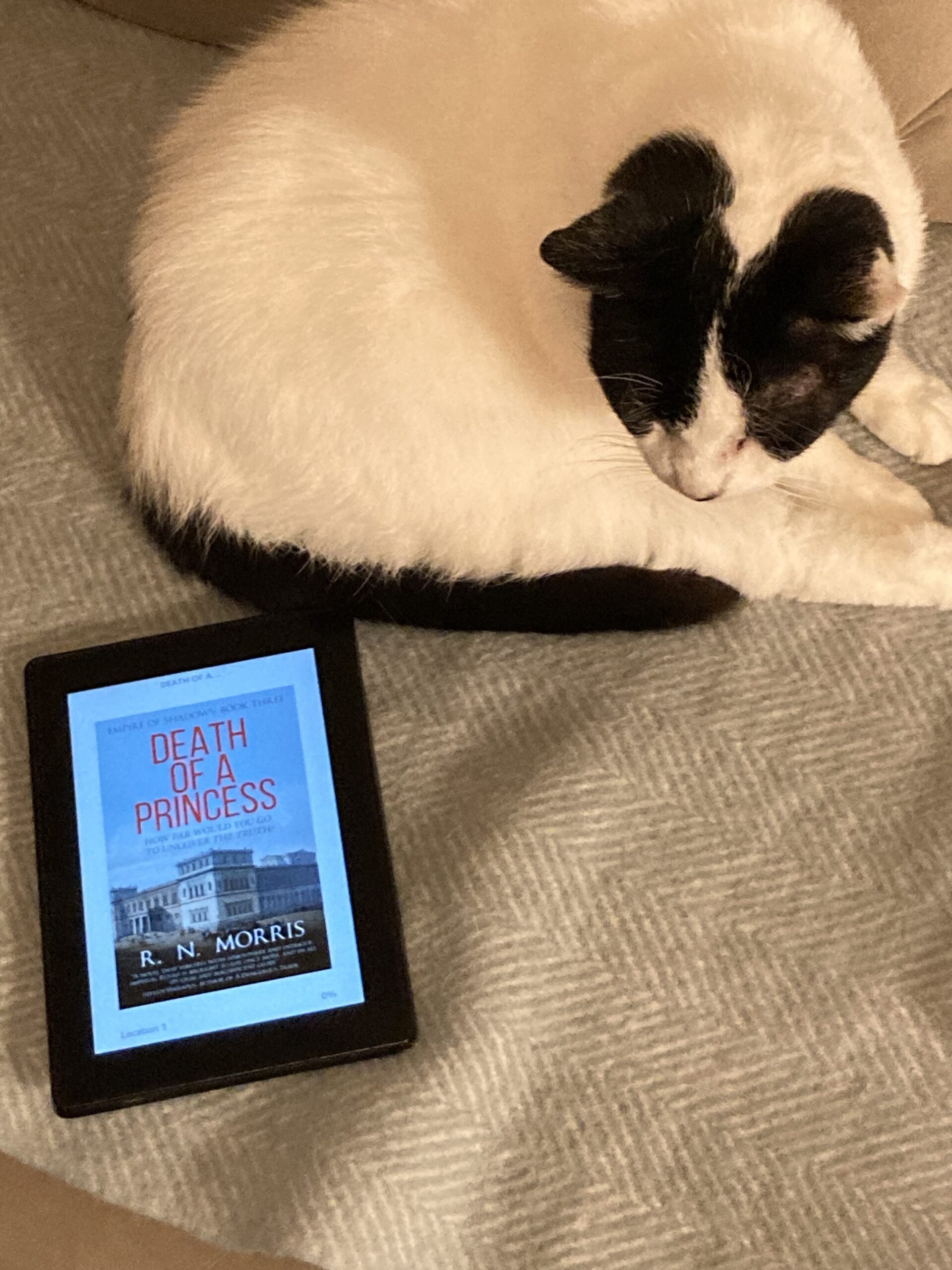 Death of a Princess is out now! – R. N. Morris